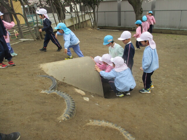 はじまりました: 南長野幼稚園・みなみっこ
